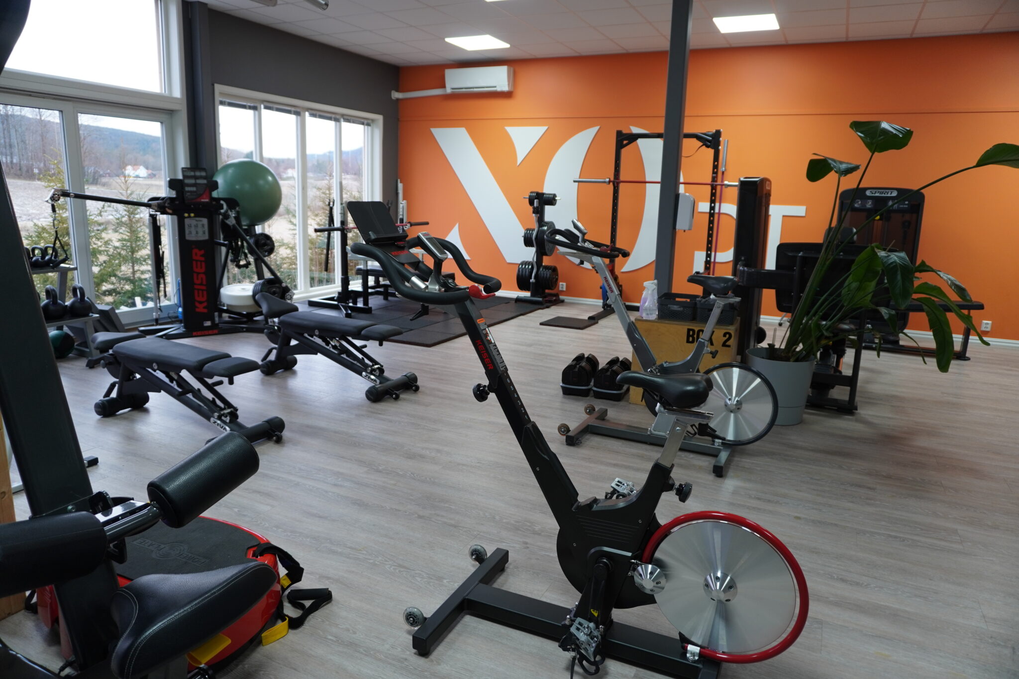 Eksklusiv egentrening med studioet for deg selv. - XOpt